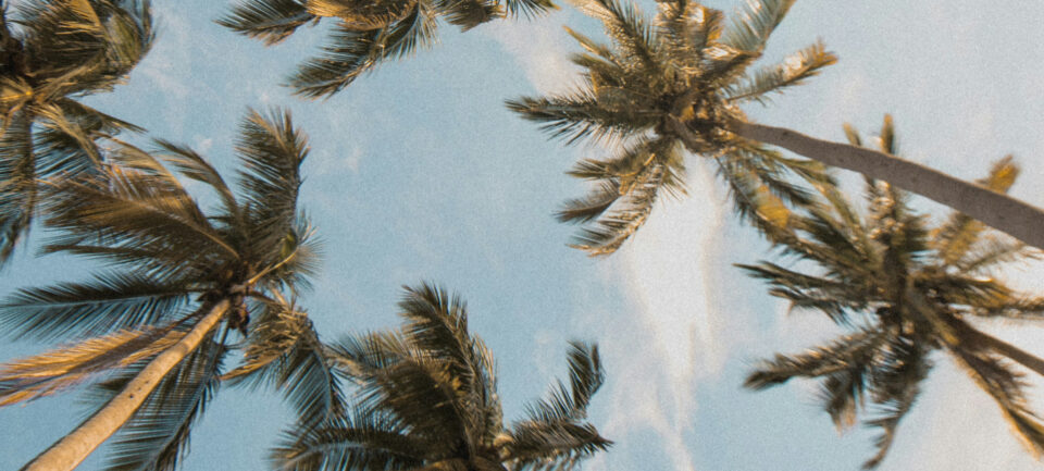 Homepage - Elle Residences Miami